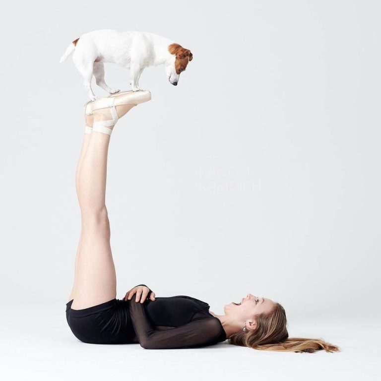 Ballet Dancers And Dogs Pose Together For A Photoshoot And The Result ...
