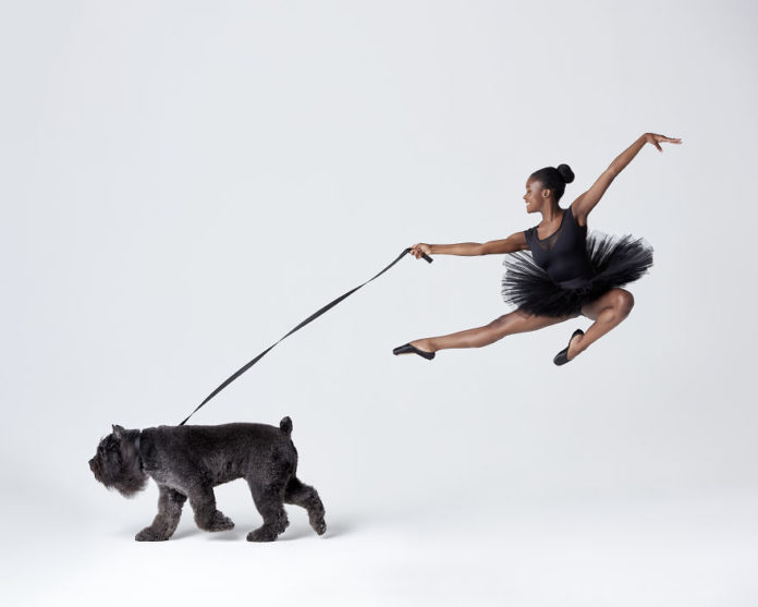 Ballet Dancers And Dogs Pose Together For A Photoshoot And The Result ...