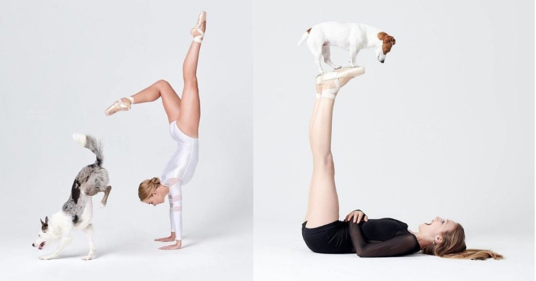 Ballet Dancers And Dogs Pose Together For A Photoshoot And The Result ...
