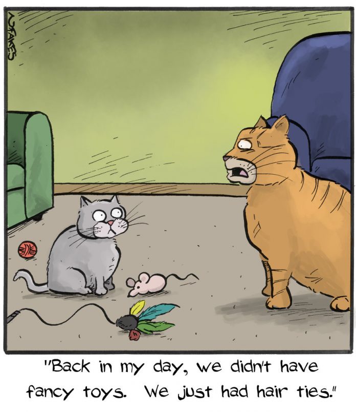 35 Comics That Cat Owners Will Relate To, Inspired By My Cat - Kitten ...