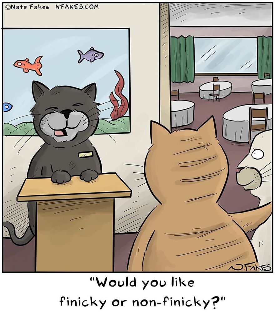 35 Comics That Cat Owners Will Relate To, Inspired By My Cat