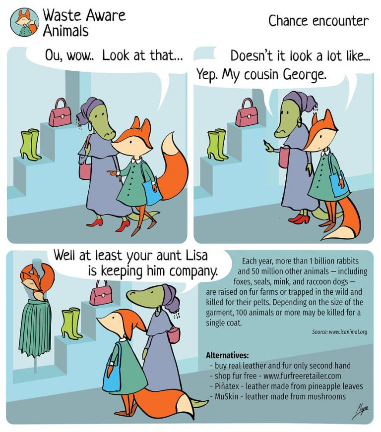 I Dream Of Living A Zero-Waste Life, Here Are The Struggles I Face (31 ...