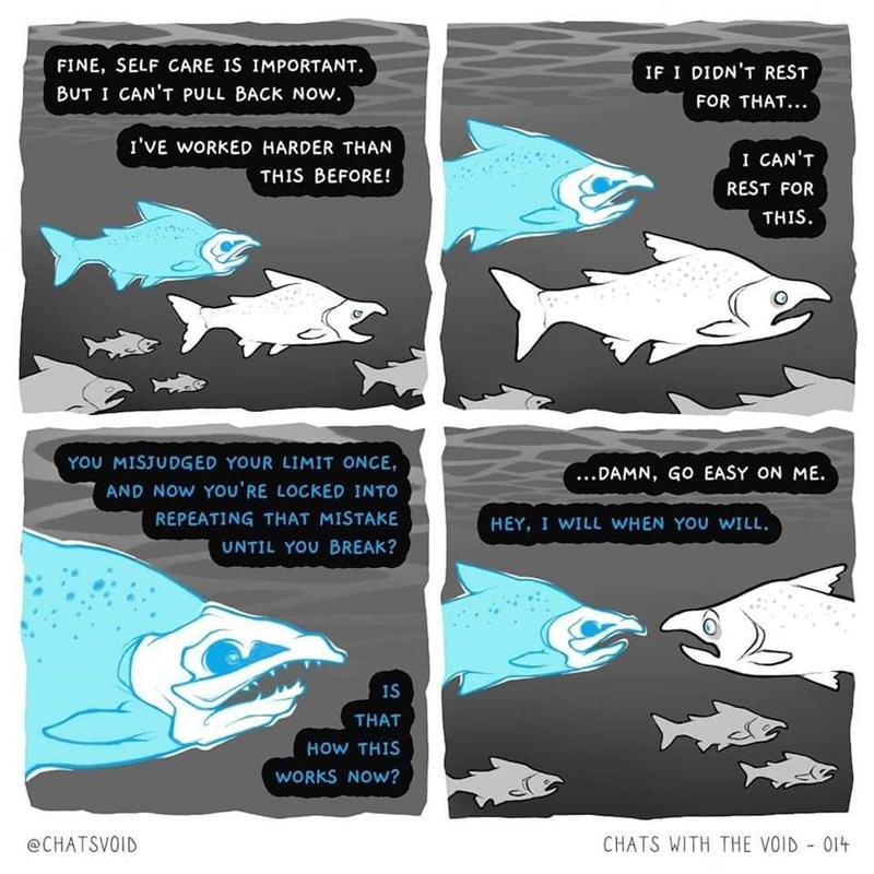 16 Existential Animal Comics From 'Chats With The Void'