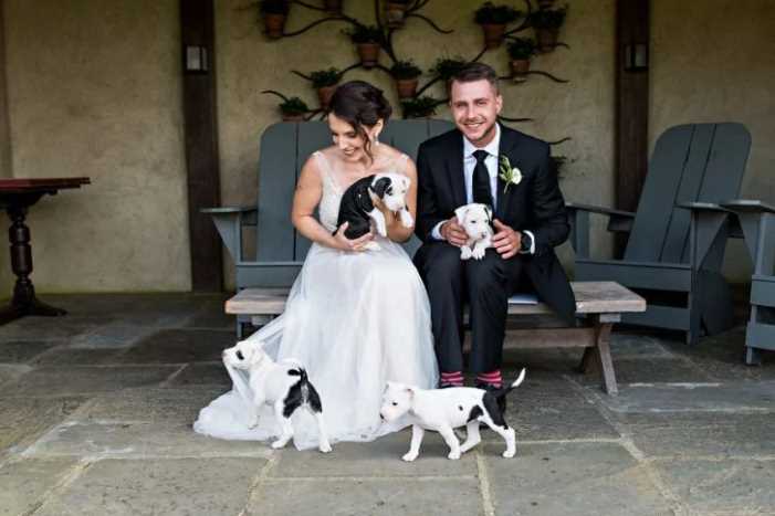 This couple substitutes the bouquet for a dozen rescued puppies; the ...