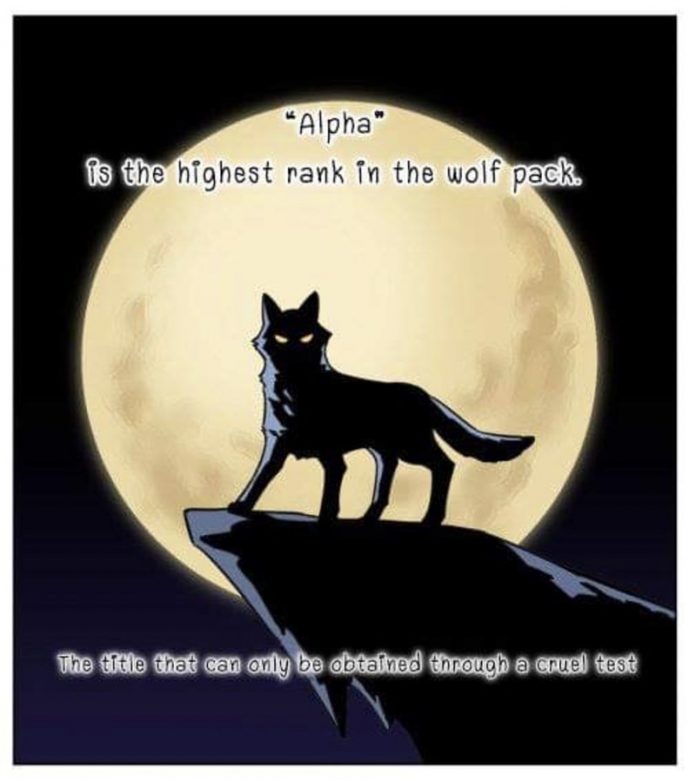 Papa Wolf And Puppy Comic Is Melting Hearts (Part 2) - Kitten Vs Puppy