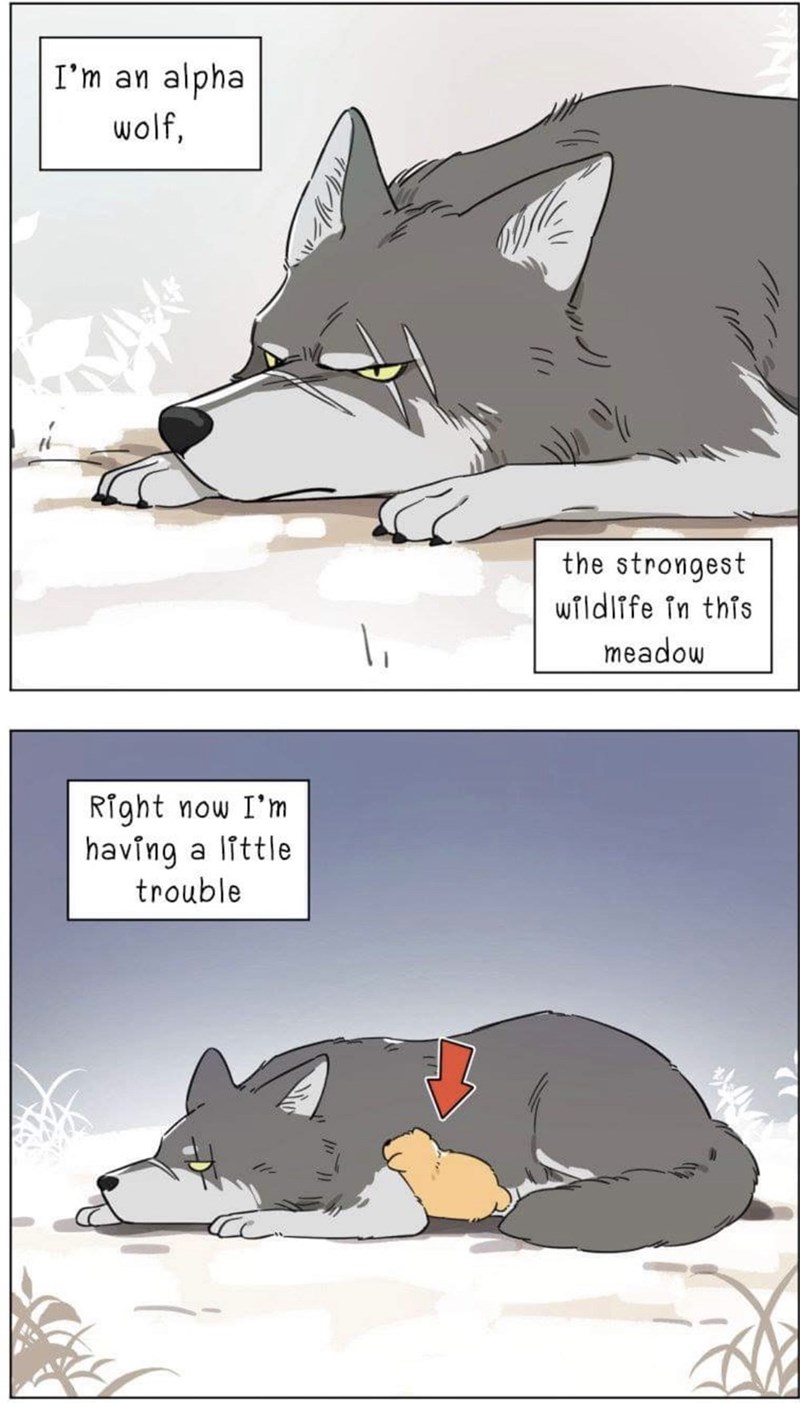 Artist Create Papa Wolf And Puppy Comic Is Melting your Hearts