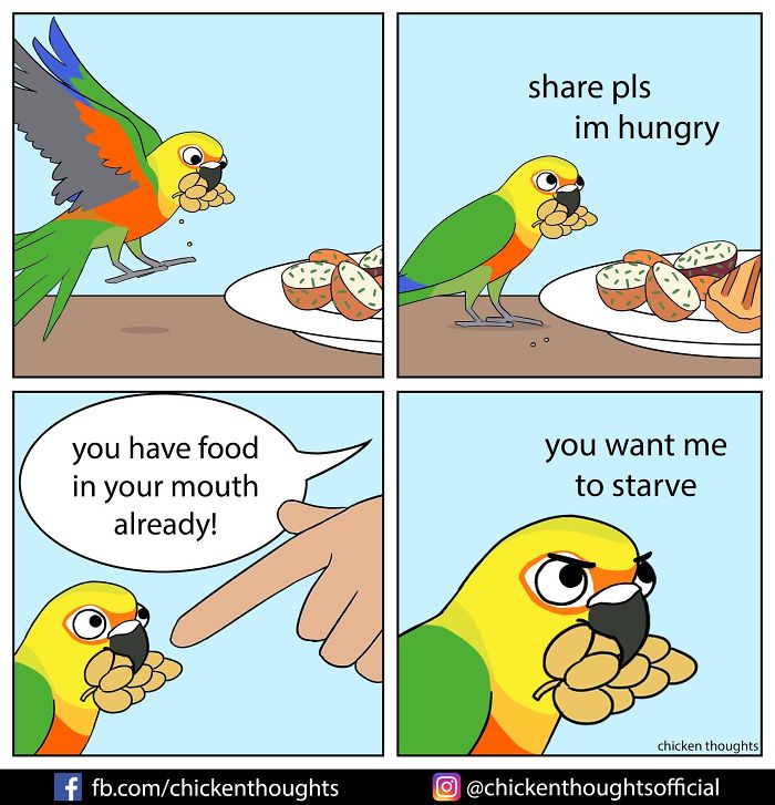 30 Cute And hilarious Comics about parrots, That will make you day