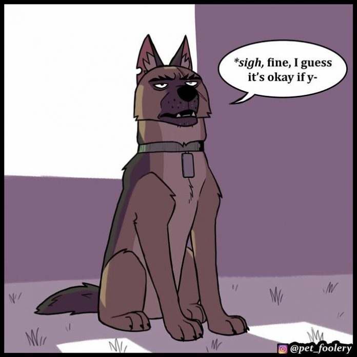 Pixie And Brutus 5 New Hilariously Adorable Comics To Instantly Make ...